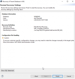 SAP HANA tenant database system copy and recovery