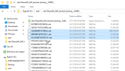 SAP HANA tenant database system copy and recovery