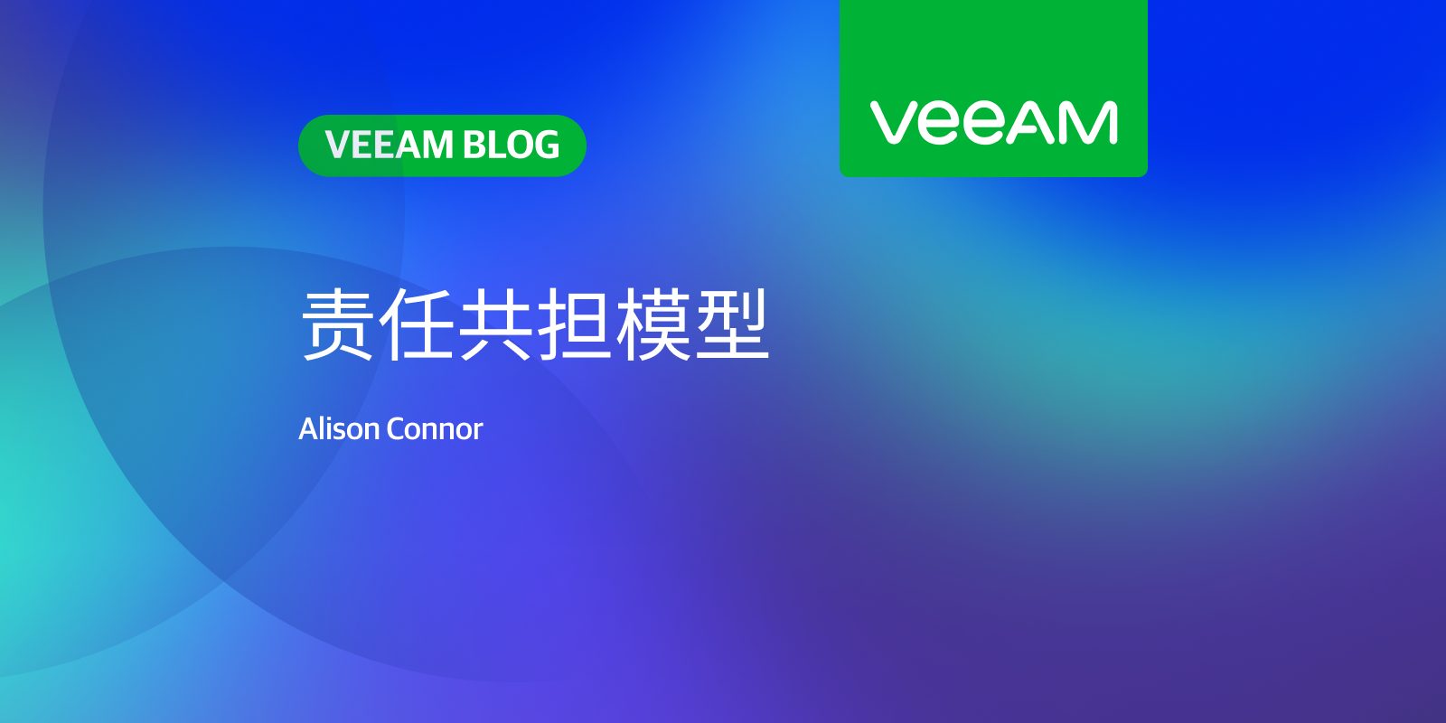 Salesforce 责任共担模型