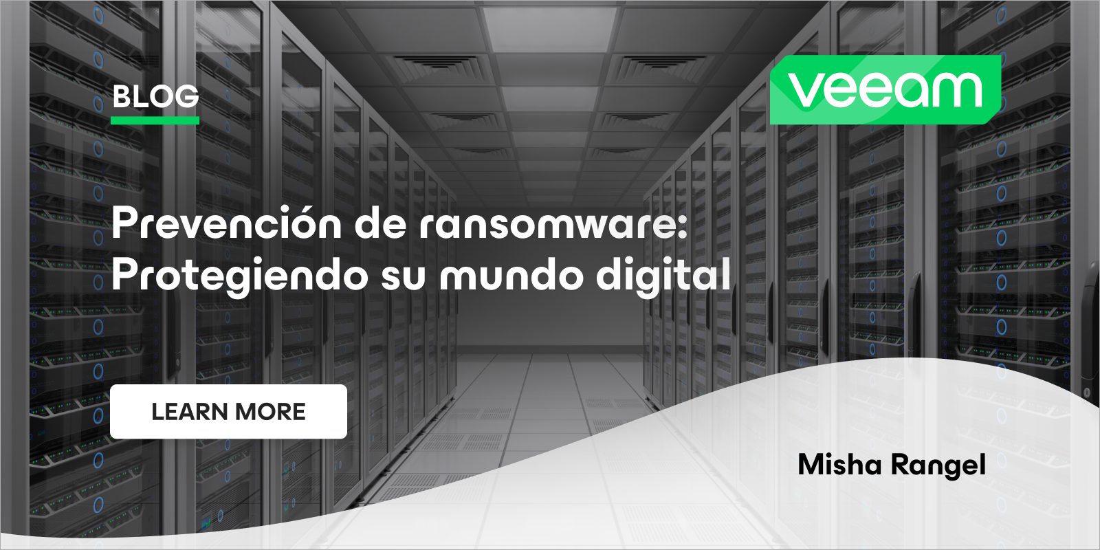 Mejores prácticas y estrategias para la prevención del ransomware ...