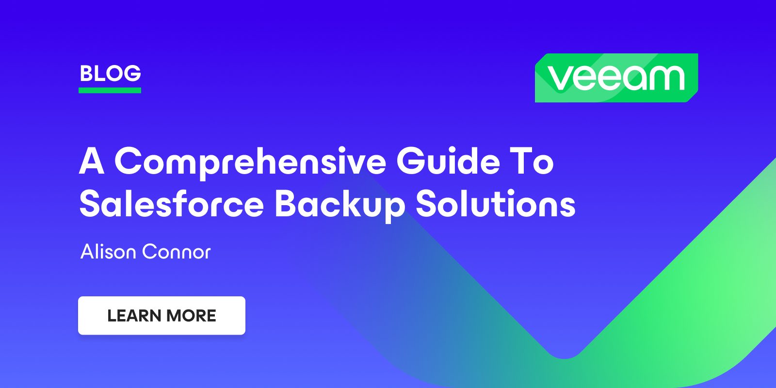 A Comprehensive Guide to Salesforce Backup Solutions