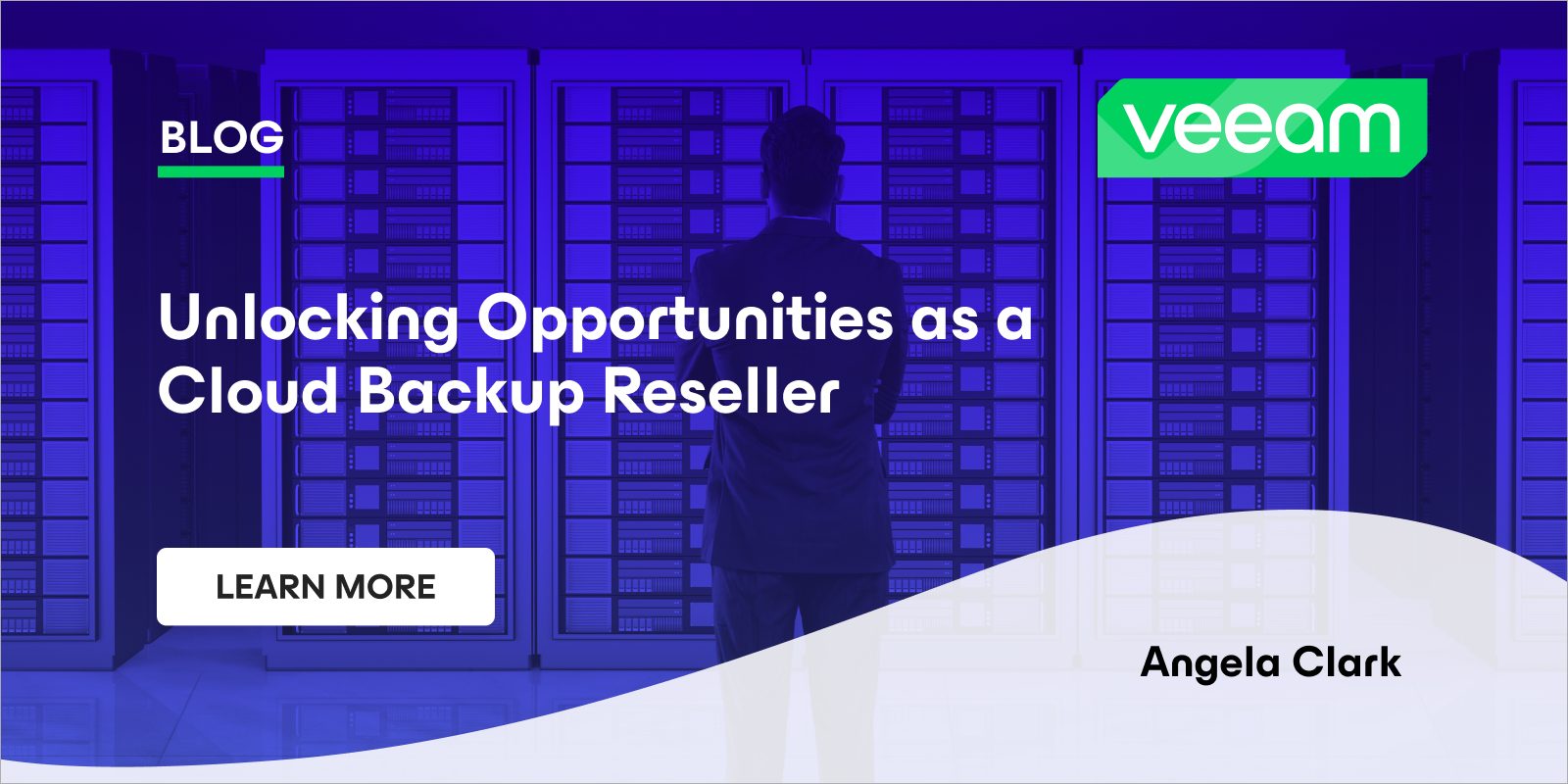Choosing the Best Cloud Backup Reseller Program | Veeam