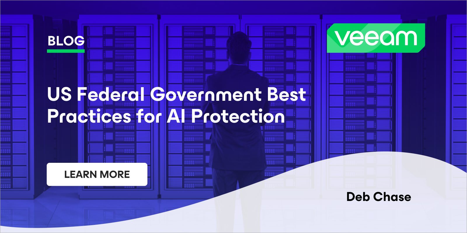 US Federal Government Best Practices for AI Protection