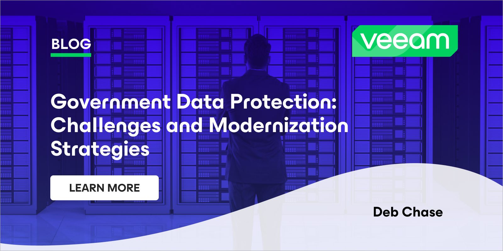 Government Data Protection Strategies