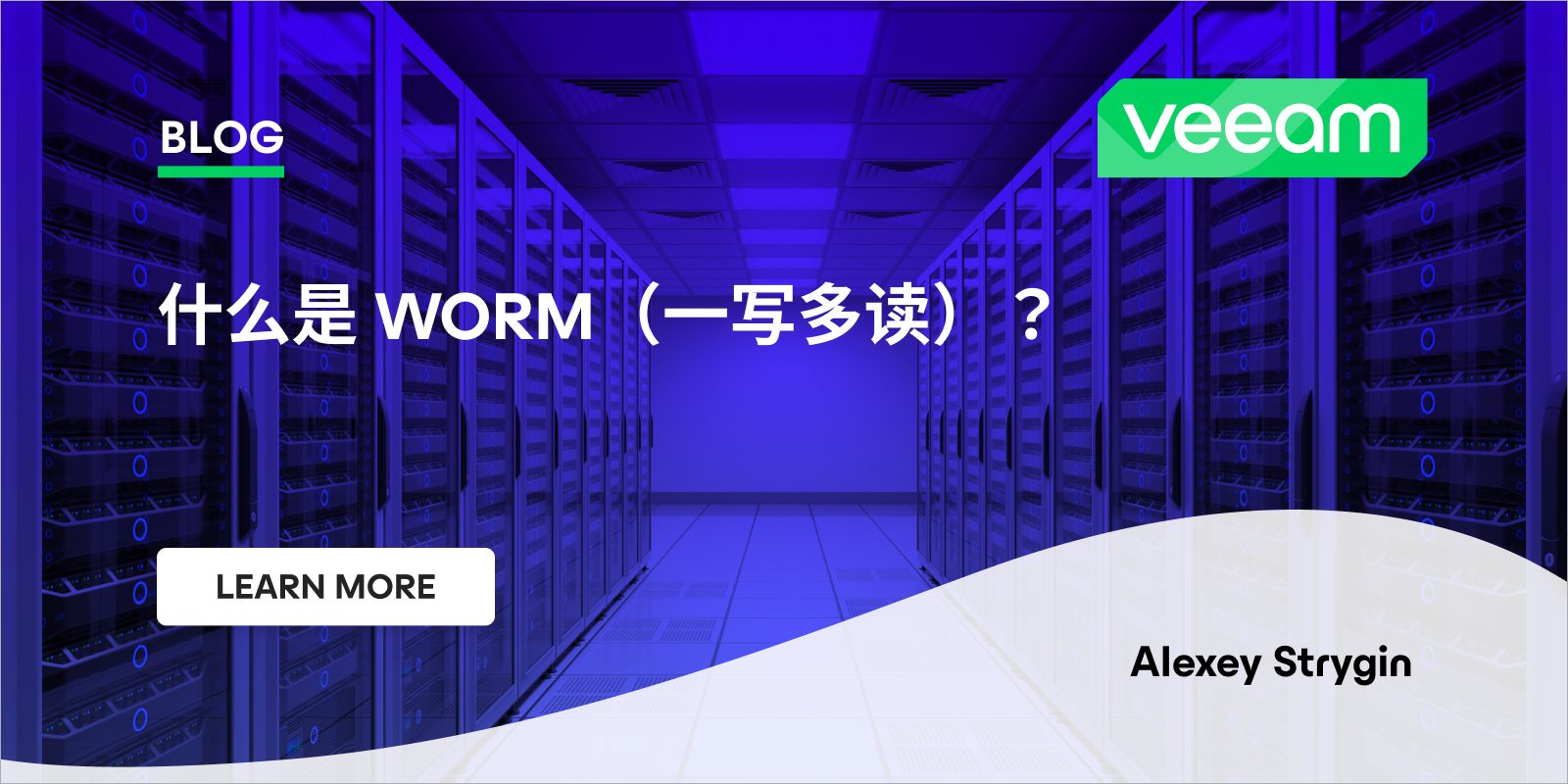 什么是 WORM（一写多读）？