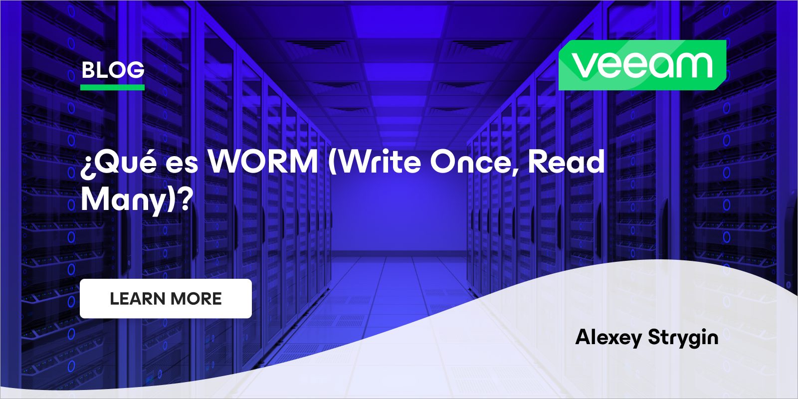 ¿Qué es WORM (write once, read many)?