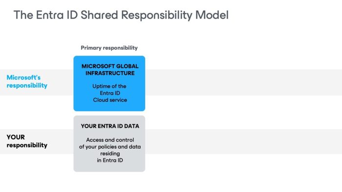 The Entra ID Shared Responsibility Model - The NAS Guy