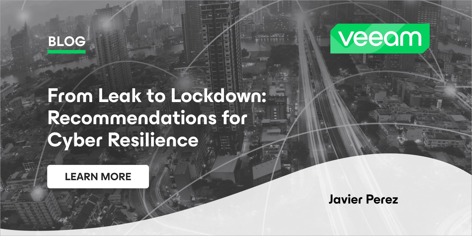 From Leak to Lockdown: Recommendations for Cyber Resilience